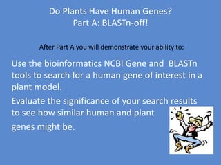 Introduction to Gene Mining Part A: BLASTn-off! | PPT