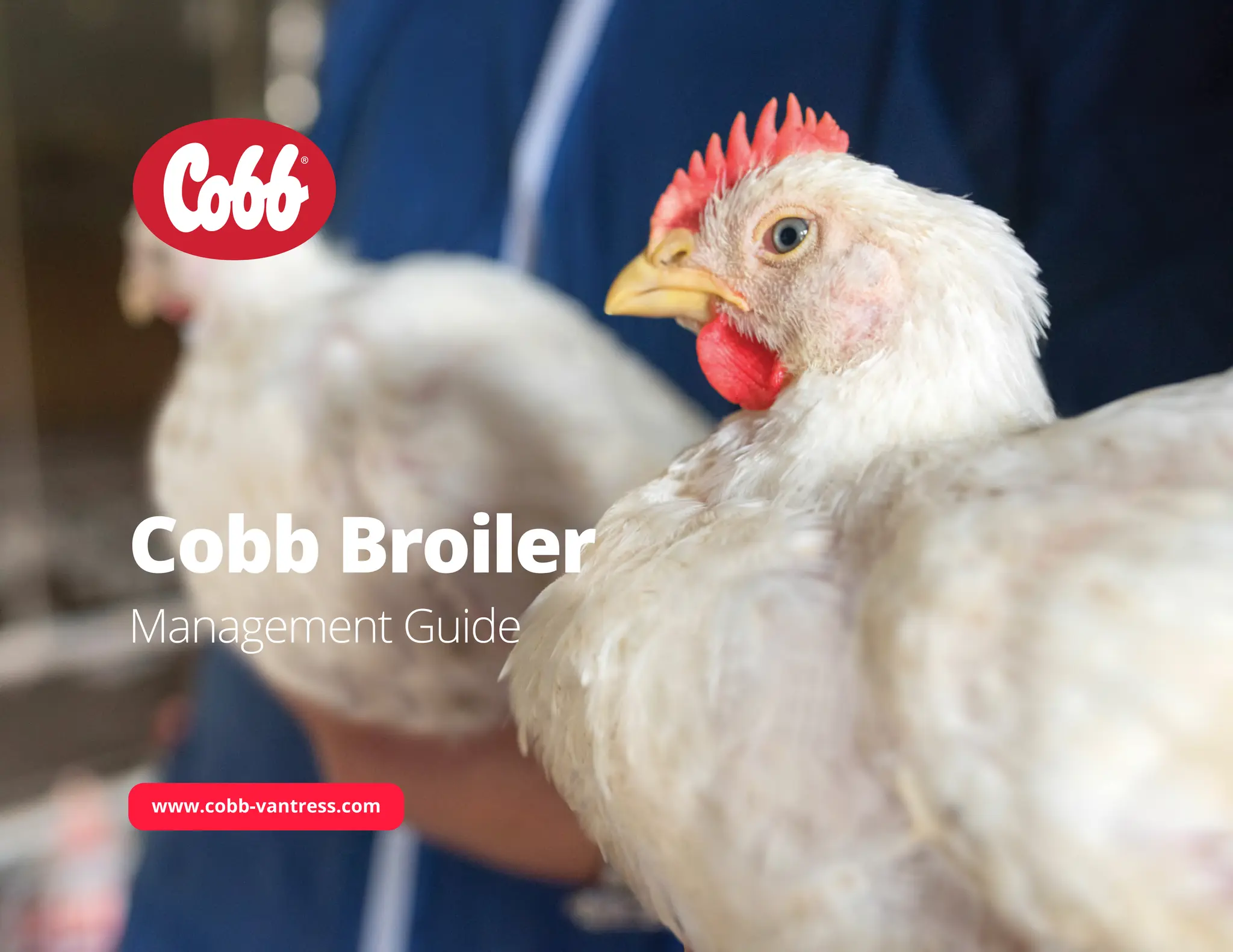 Cobb Broiler- Managment Guide_English-2021-min.pdf