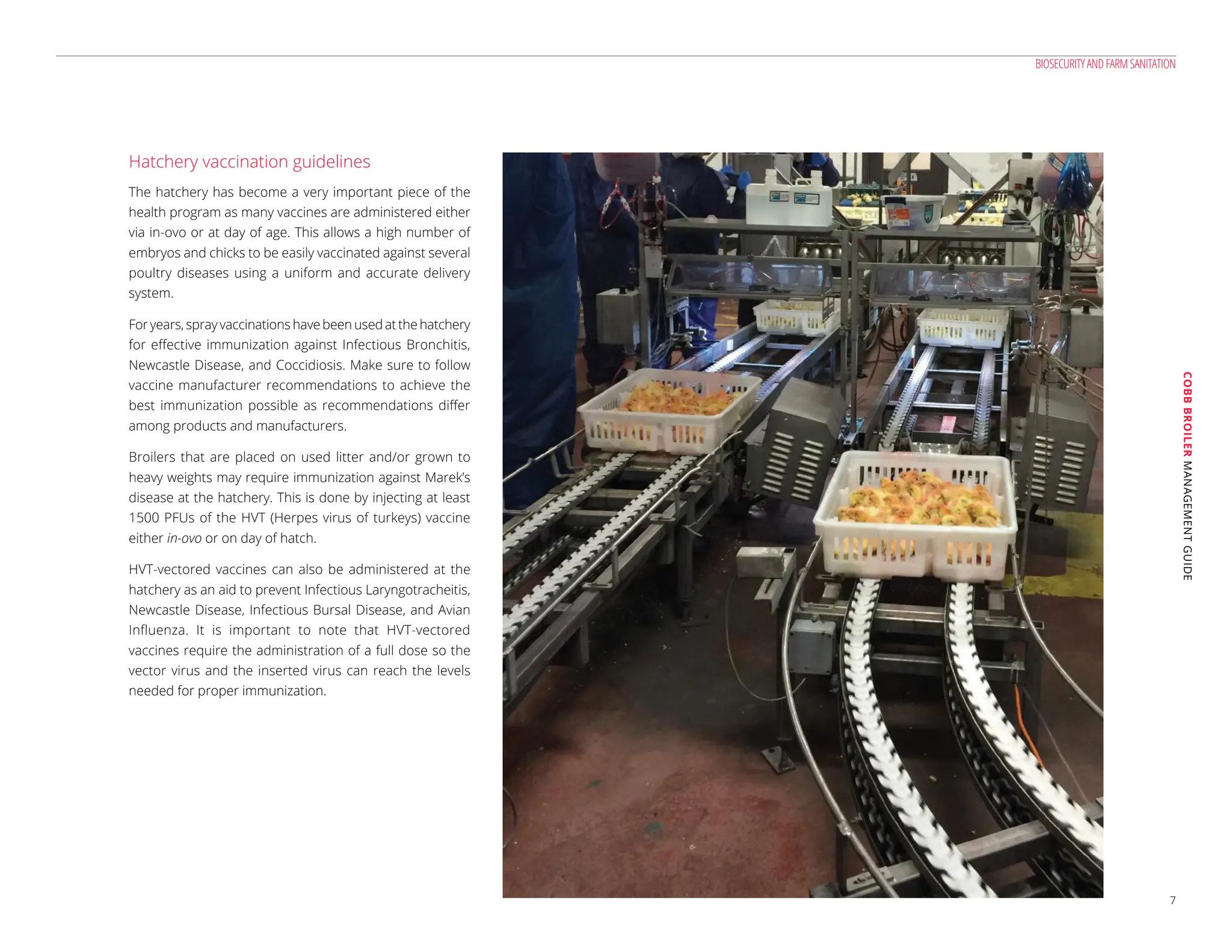 Cobb Broiler- Managment Guide_English-2021-min.pdf