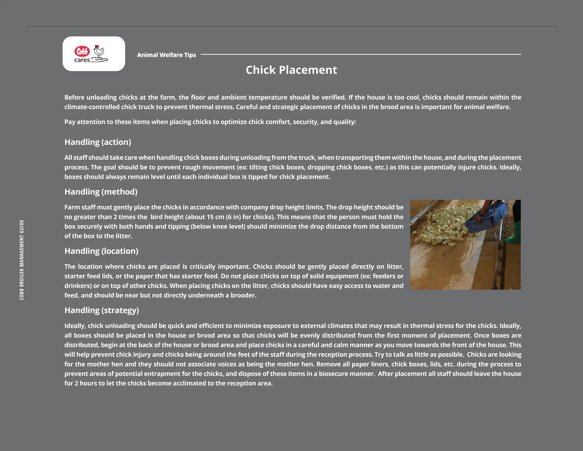 Cobb Broiler- Managment Guide_English-2021-min.pdf