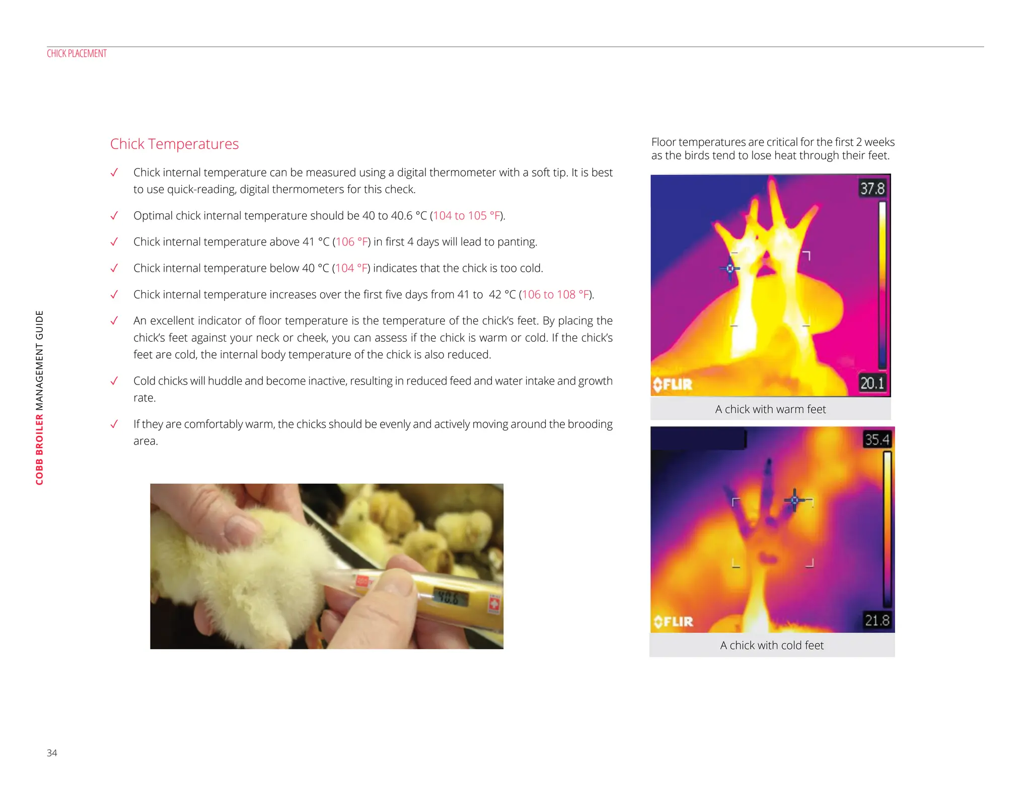 Cobb Broiler- Managment Guide_English-2021-min.pdf