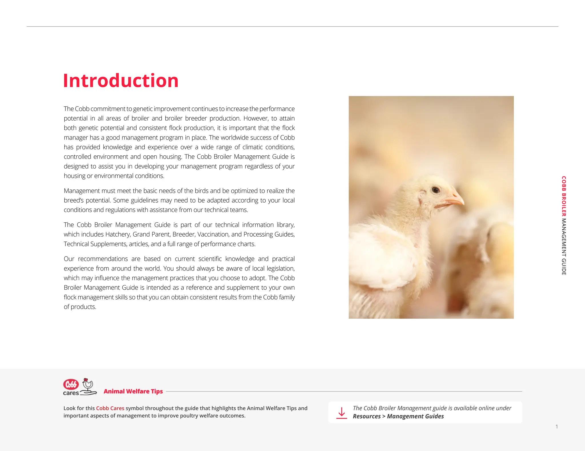 Cobb Broiler- Managment Guide_English-2021-min.pdf