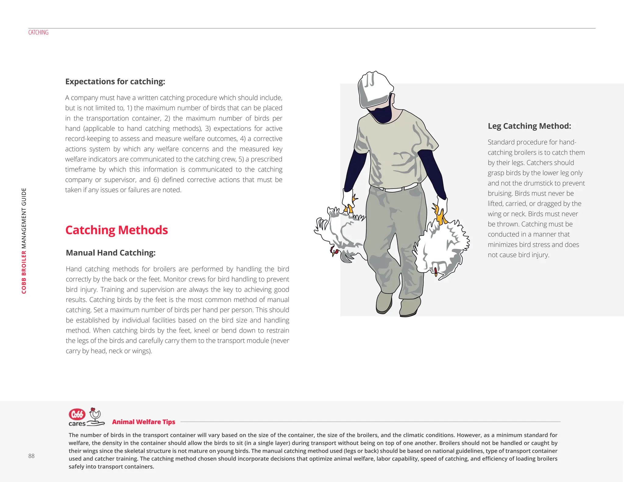 Cobb Broiler- Managment Guide_English-2021-min.pdf