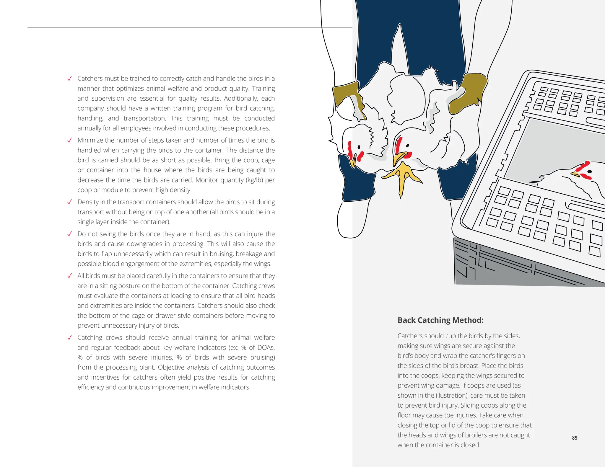 Cobb Broiler- Managment Guide_English-2021-min.pdf