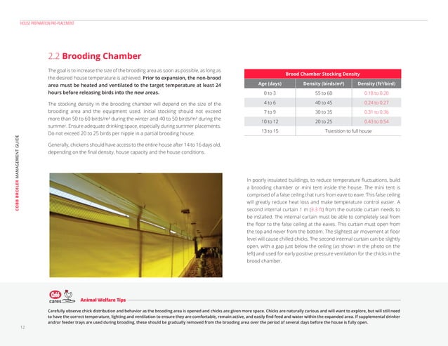 Cobb Broiler- Managment Guide_English-2021-min.pdf | Birds | Pets