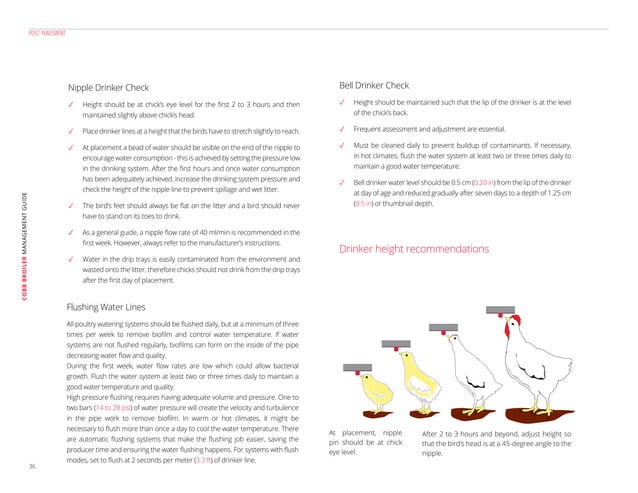 Cobb Broiler- Managment Guide_English-2021-min.pdf | Birds | Pets