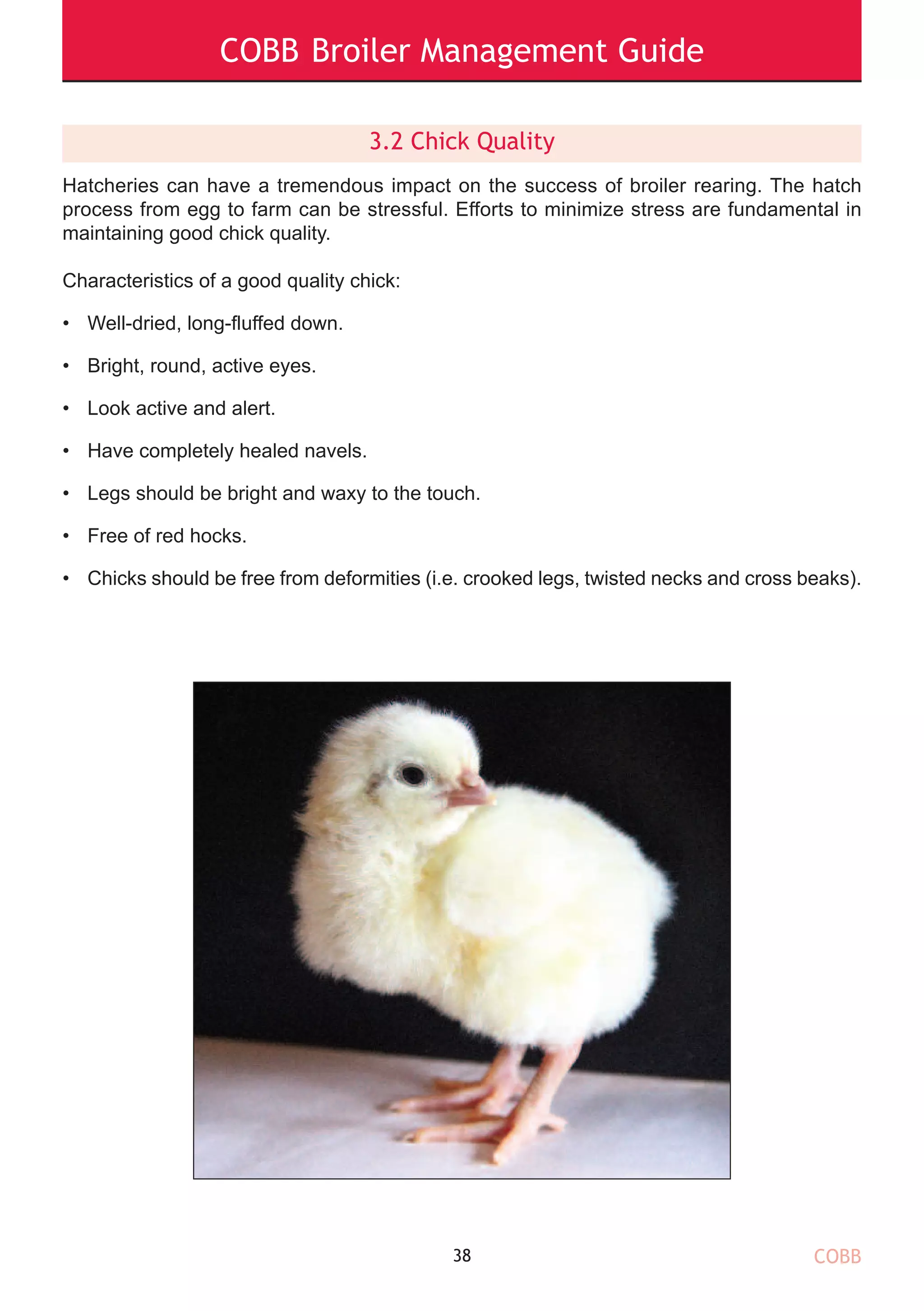 Cobb broiler management guide eng-2018 | PDF | Birds | Pets
