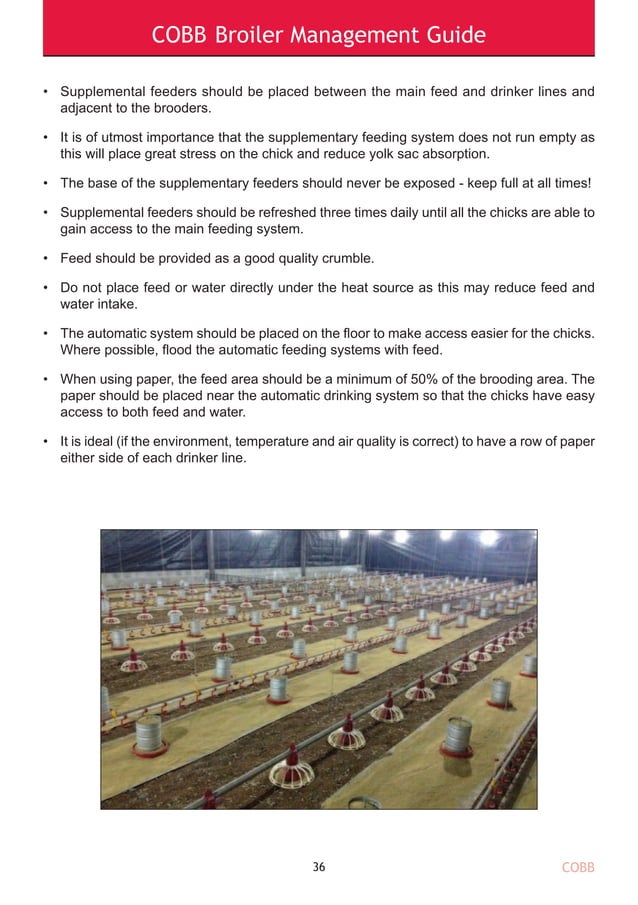 Cobb broiler management guide eng-2018 | PDF | Birds | Pets