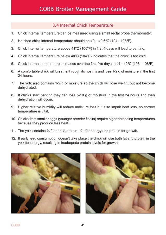 Cobb broiler management guide eng-2018 | PDF | Birds | Pets