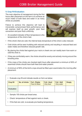 Cobb broiler management guide eng-2018 | PDF