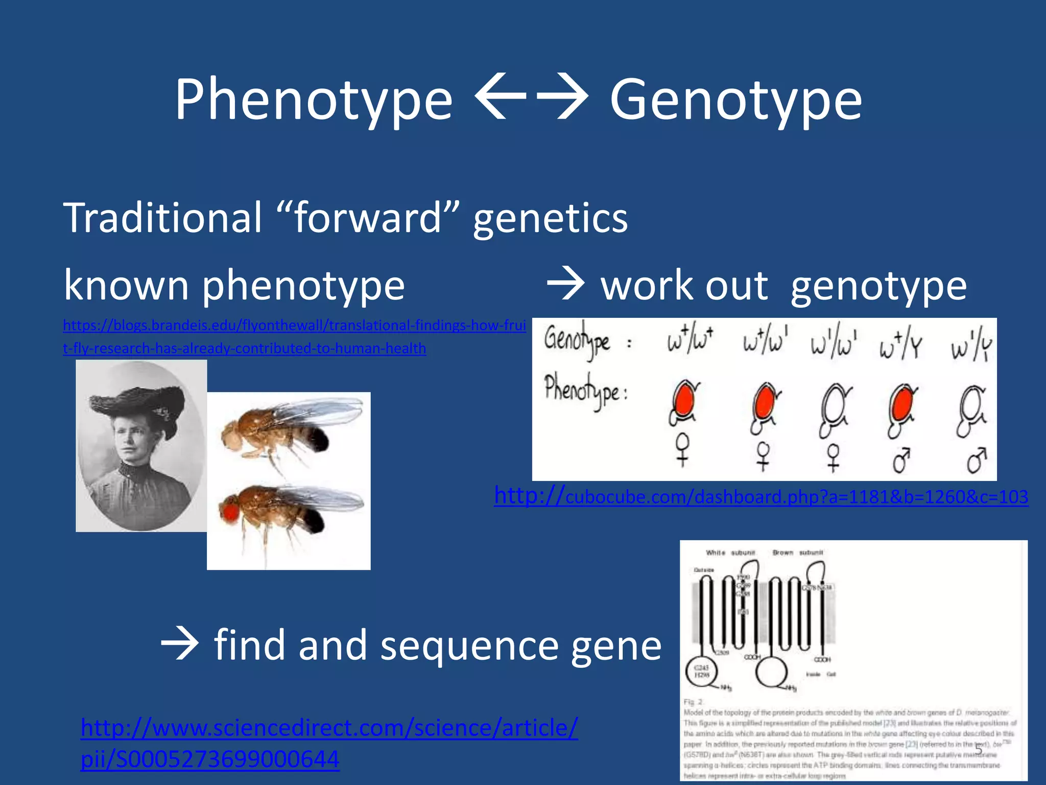 Mining Phenotypes: How to set up a reverse genetics experiment with an ...