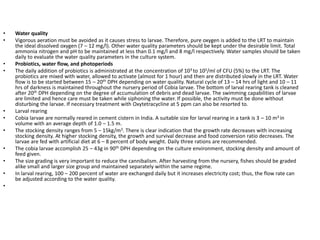 Cobia farming by B.pptx