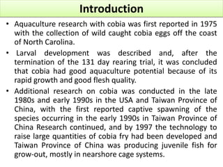 Cobia farming by B.pptx