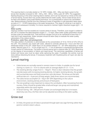 detailed project report on cobia nursery DPR.docx