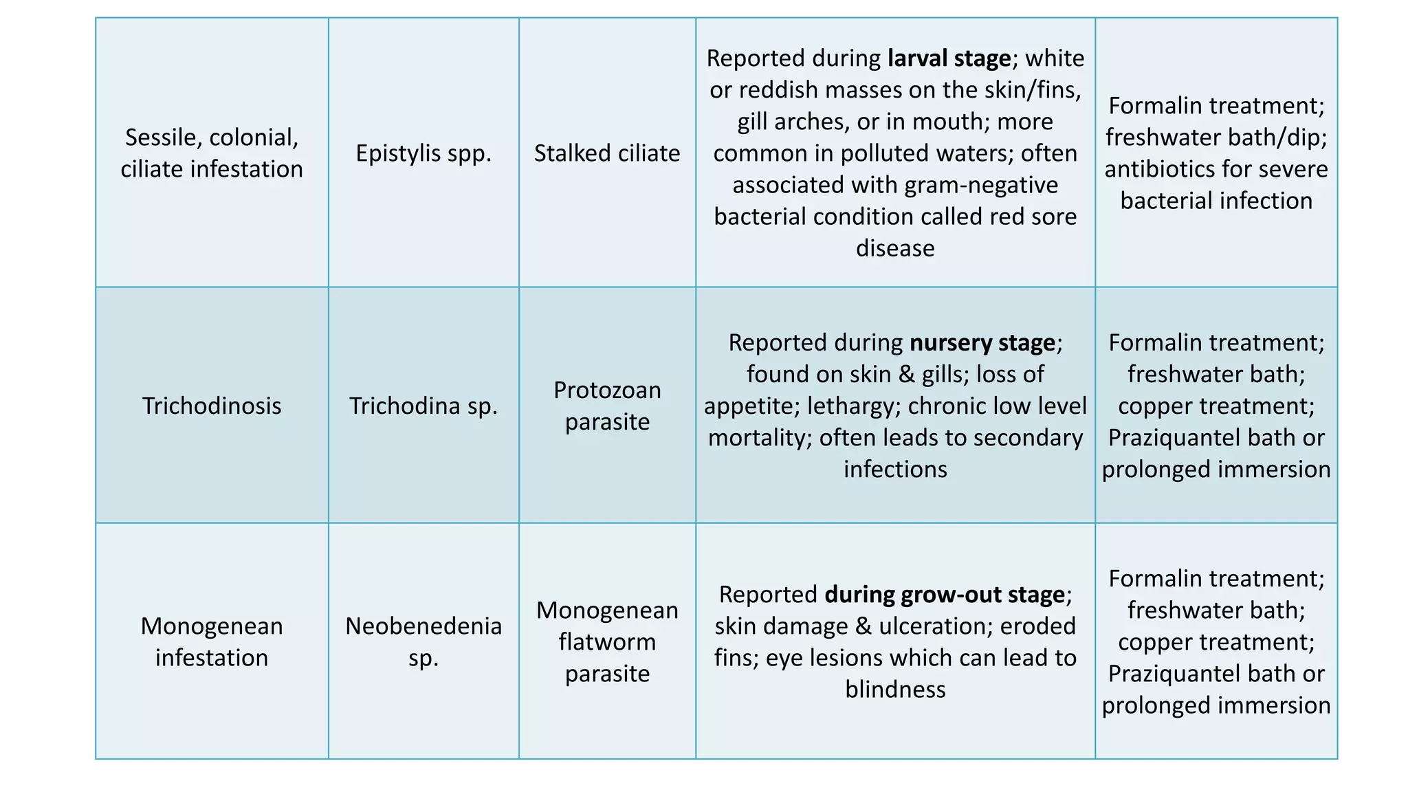 SEED PRODUCTION OF COBIA | PPTX