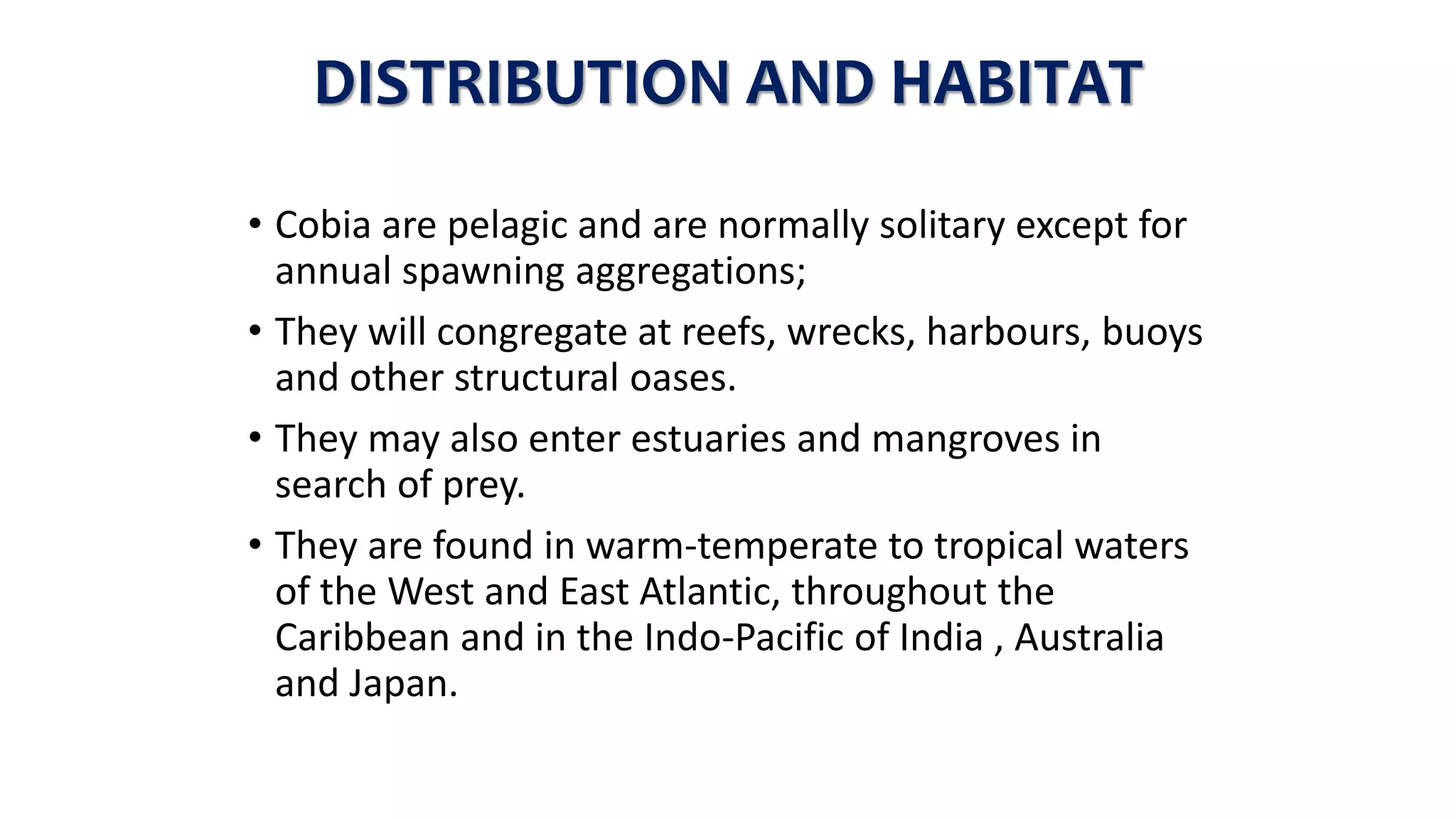 SEED PRODUCTION OF COBIA | PPTX