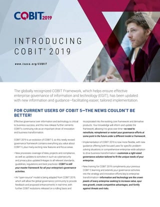 cobit 2019 -current-user - ISACA Publication | PDF