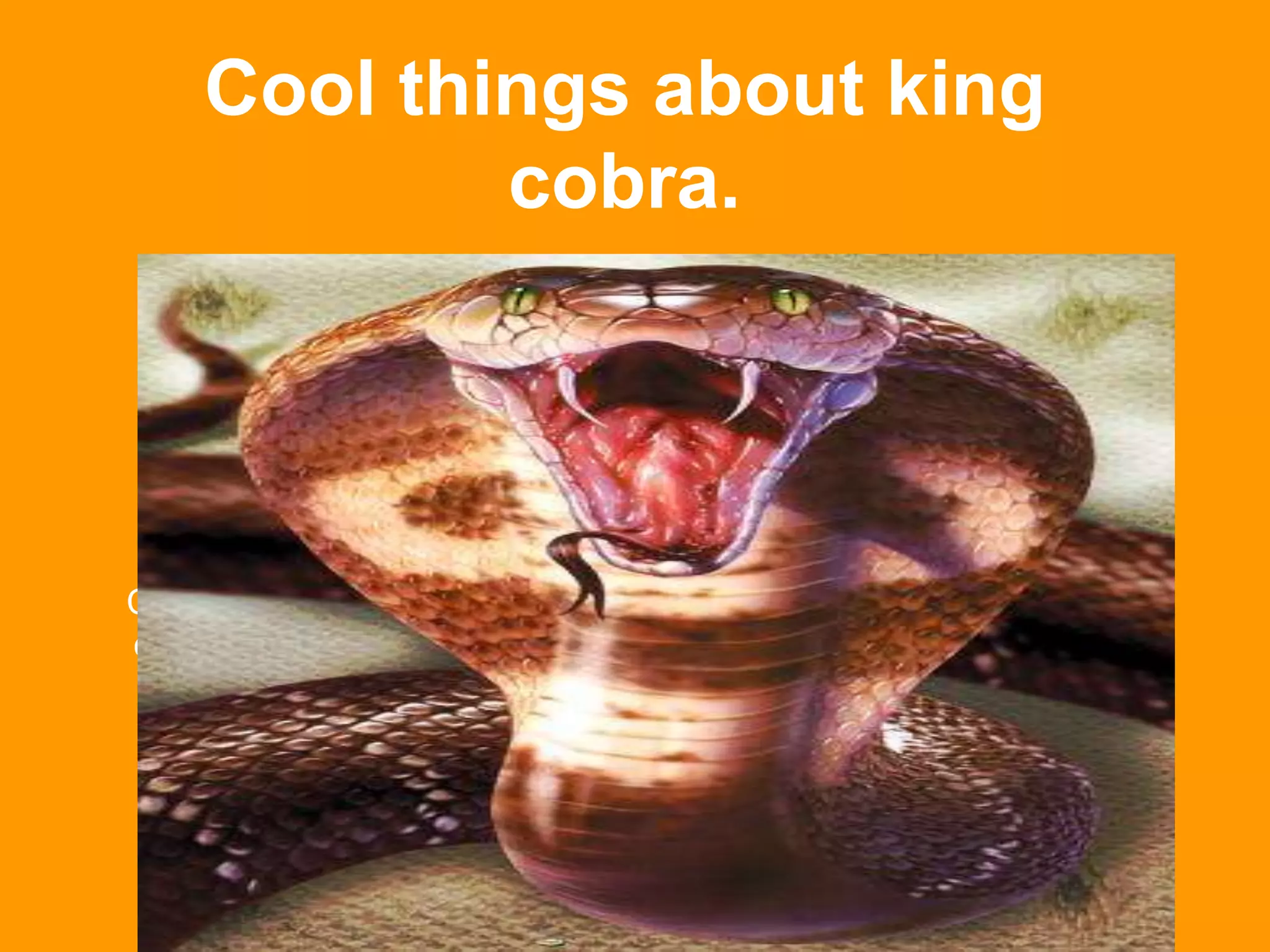 Cobra powerpoint | PPTX | Reptiles | Pets
