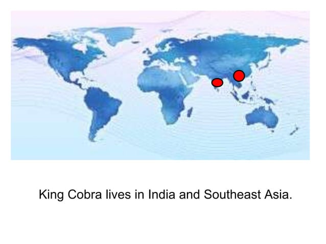 Cobra powerpoint | PPTX