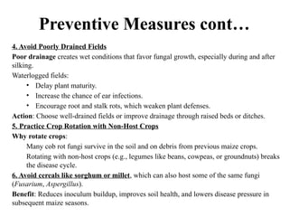 Cob_Rot_Disease_in_Maize_Presentation-1.pptx
