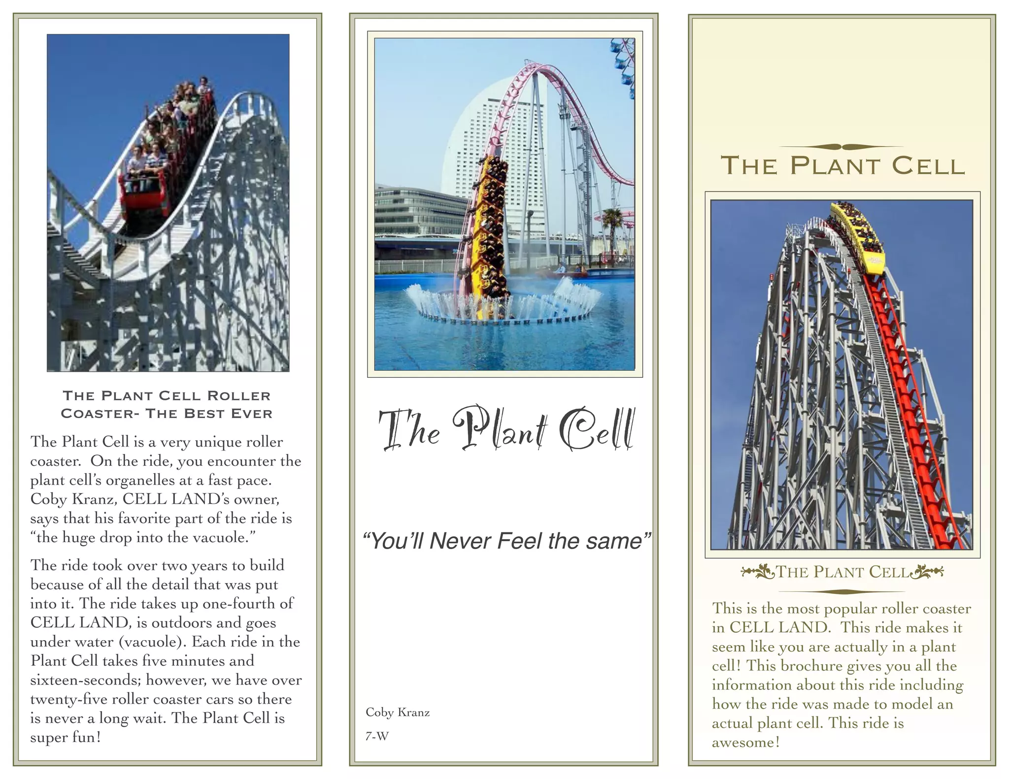 Coby kranz science brochure pages | PDF