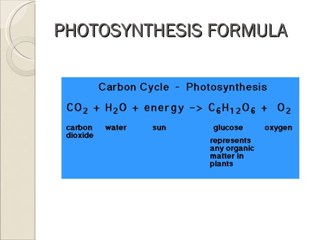 Carbon-Oxygen Cycle | PPT | Geology | Science