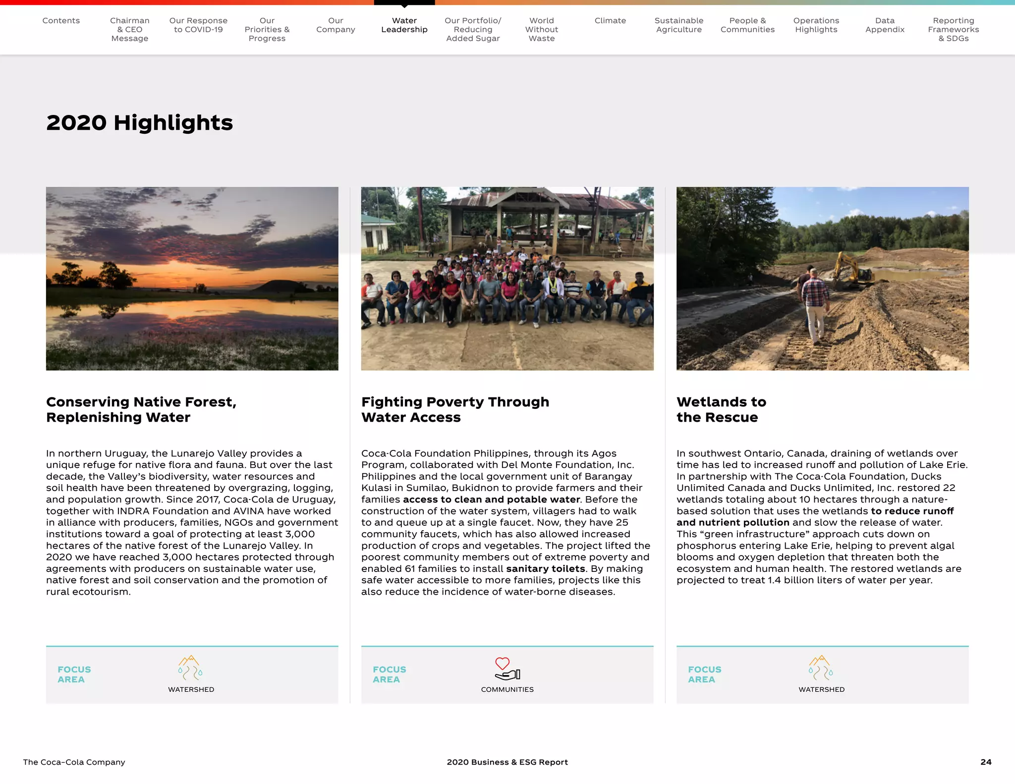 Coca cola-report-2020 | PDF