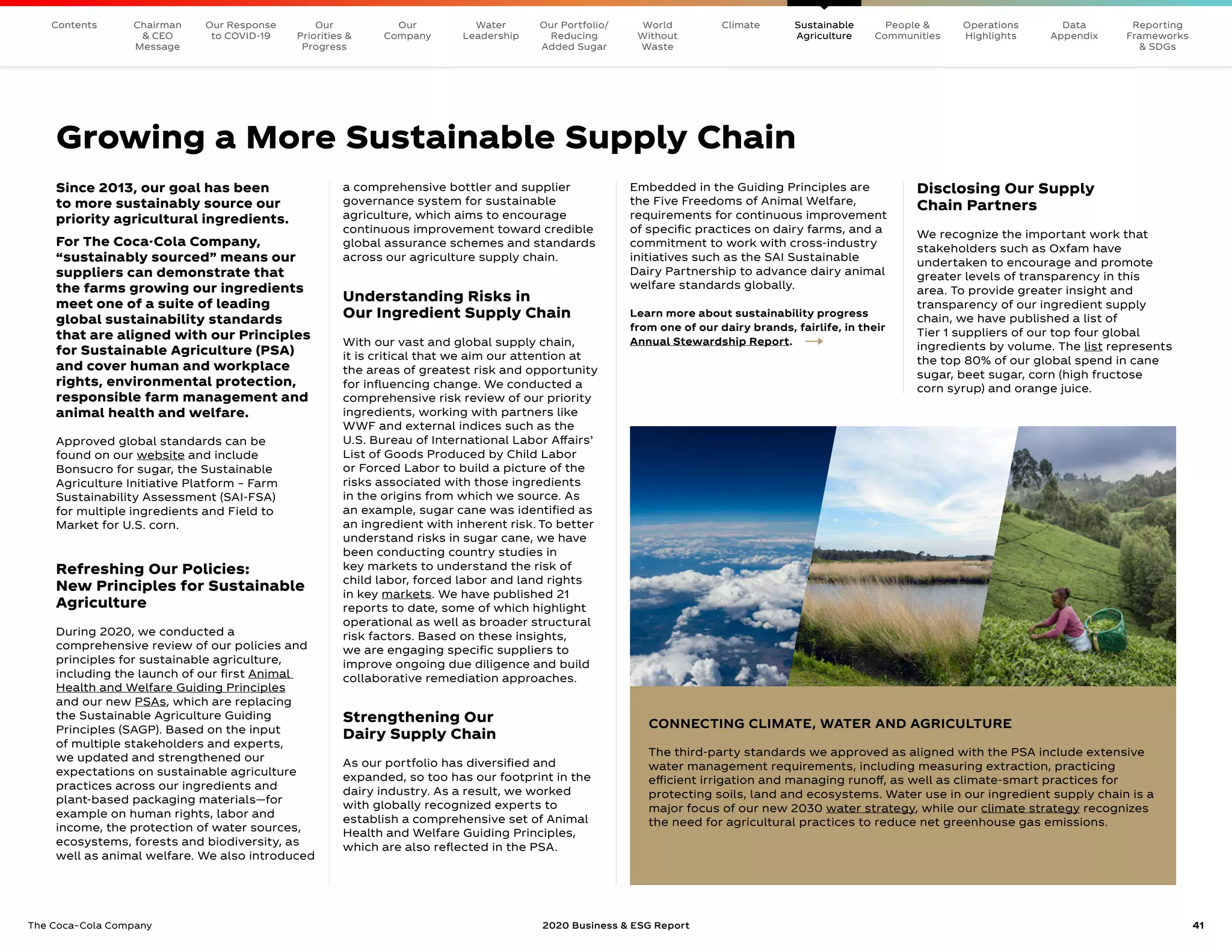 Coca cola-report-2020 | PDF