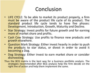 Coca-Cola portfolio BCG matrixxxxxx.pptx