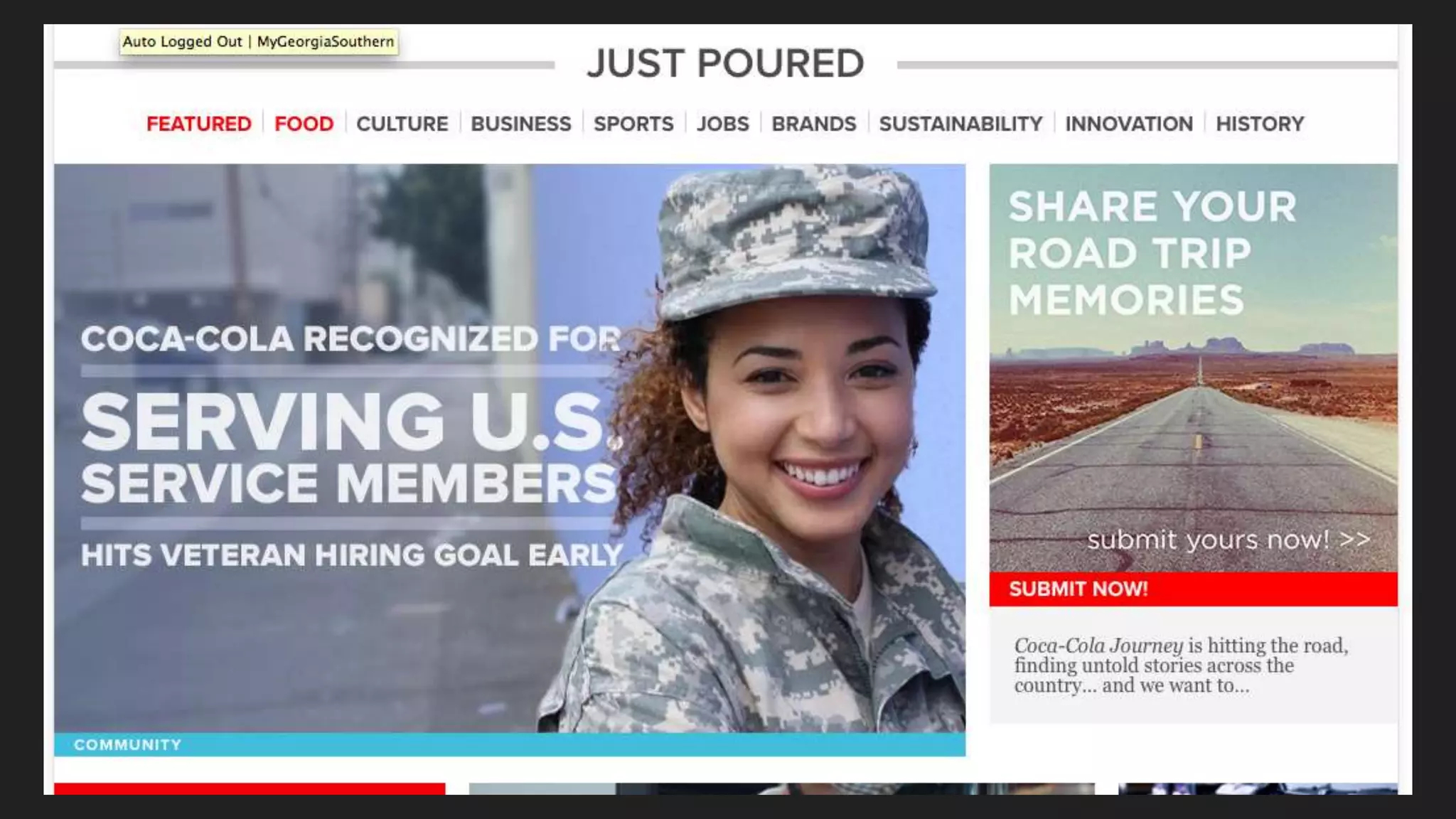 Coca Cola Presentation Audit | PPT