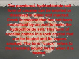 Cocaine | PPT