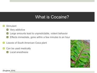 Cocaine | PPTX