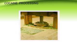 Cocaine lecture presentation pharmacy school | PPT