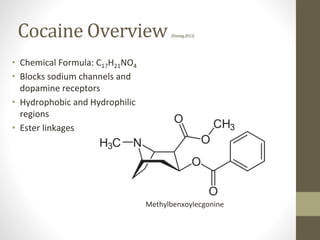 Cocaine and breastfeeding | PPT