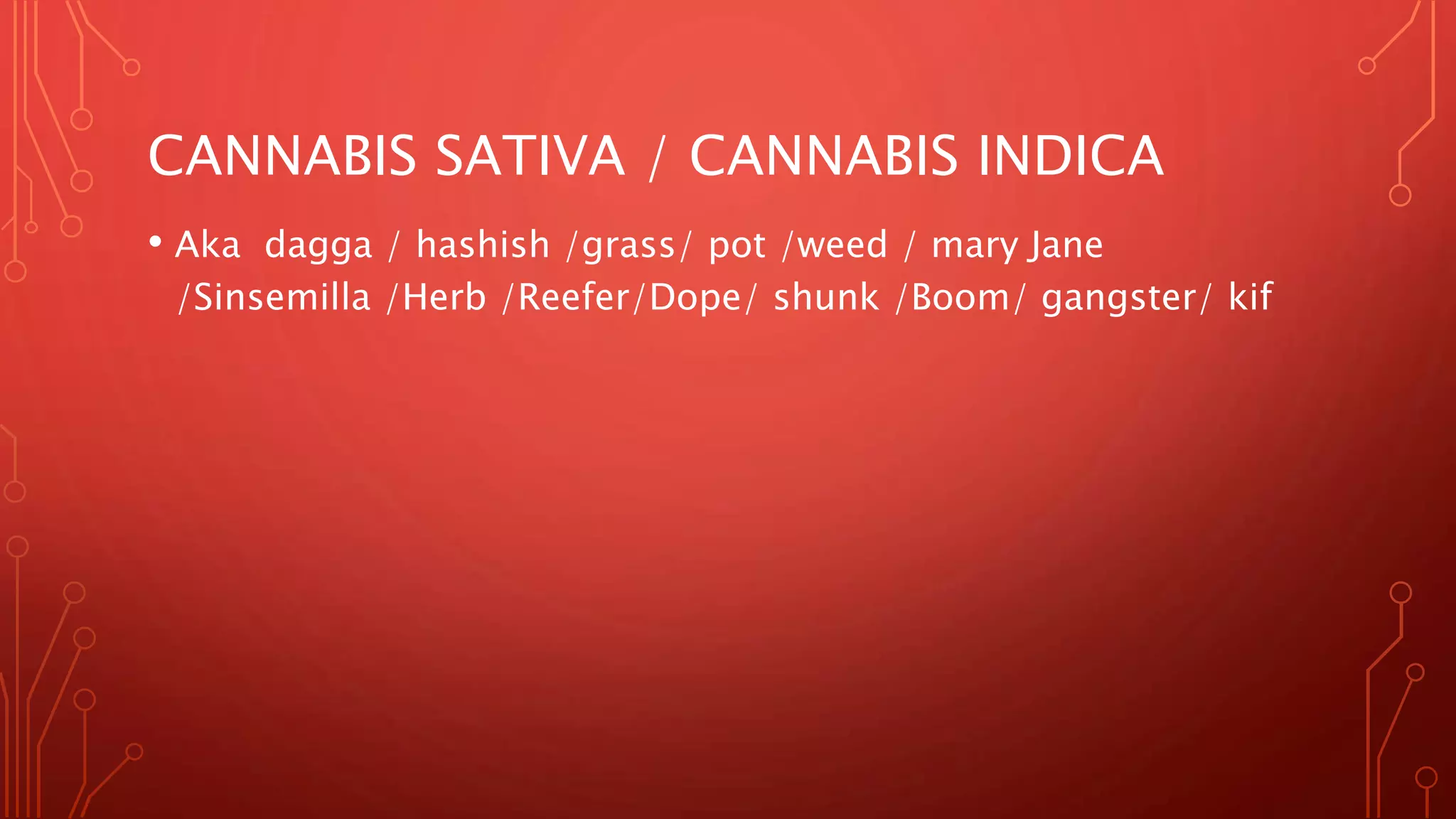 Cocaine, cannabis | PPTX