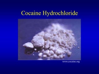Cocaine Heart.ppt