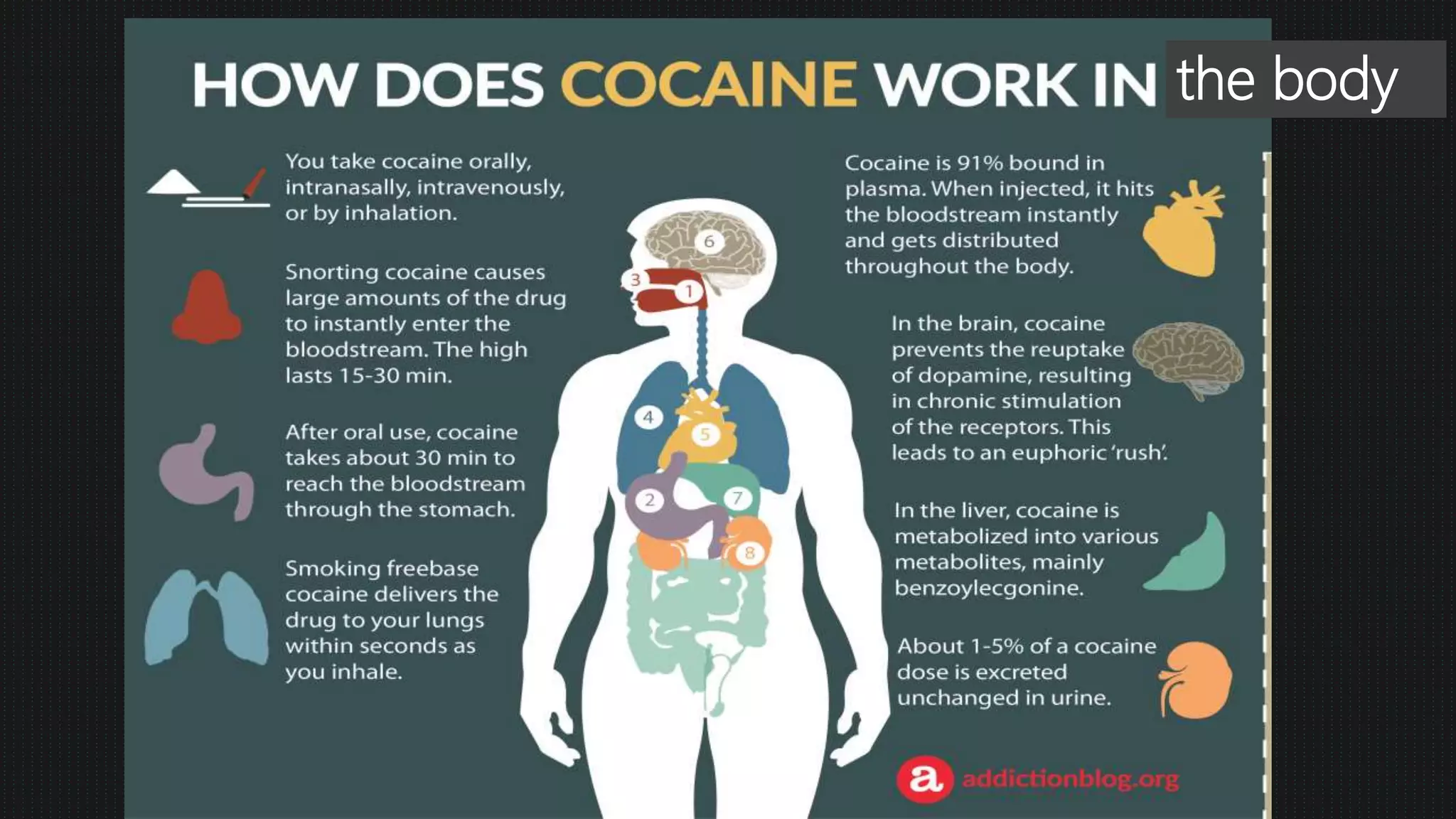 Cocaine a delirient in forensic perspective | PPTX