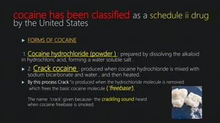 Cocaine a delirient in forensic perspective | PPTX
