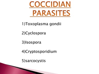 Coccidian parasite | PPTX