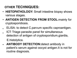 coccidian parasite 3 parasitology - MICROBIOLOGY | PPTX