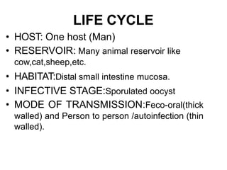 coccidian parasite 3 parasitology - MICROBIOLOGY | PPTX