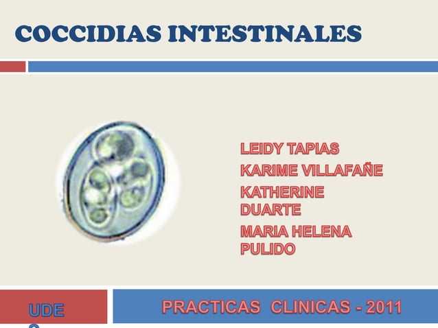 Coccidias intestinales | PPTX