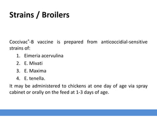 Coccidia_Vaccines_Egypt_Market_Overview | PPTX