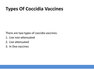 Coccidia_Vaccines_Egypt_Market_Overview | PPTX