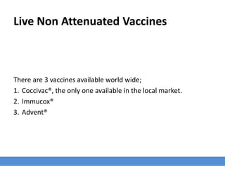 Coccidia_Vaccines_Egypt_Market_Overview | PPTX