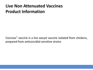 Coccidia_Vaccines_Egypt_Market_Overview | PPTX