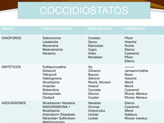 Coccidicidas y coccidiostaticos. | PPTX