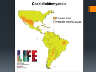 Coccidioides | PPTX
