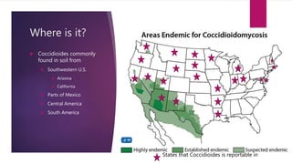 Coccidioidomycoses | PPTX