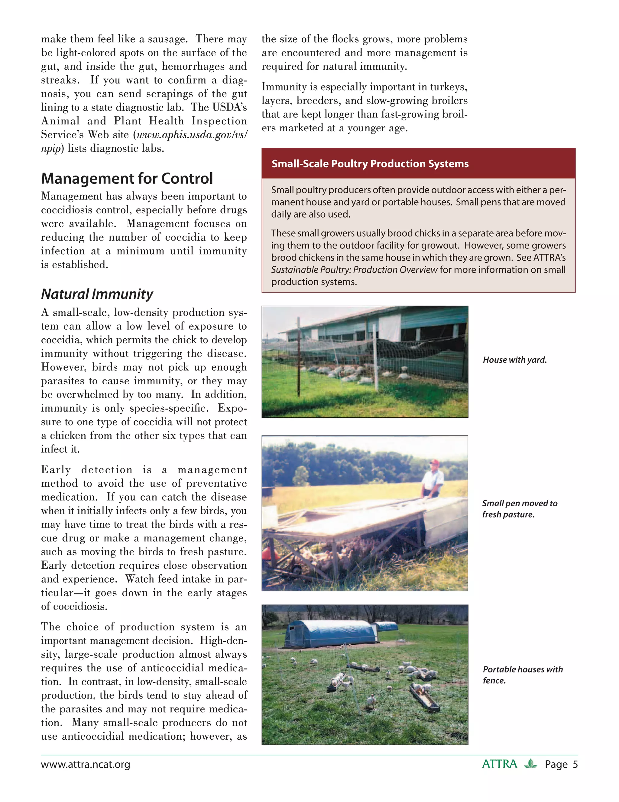 Parasite Management for Natural and Organic Poultry: Coccidiosis | PDF